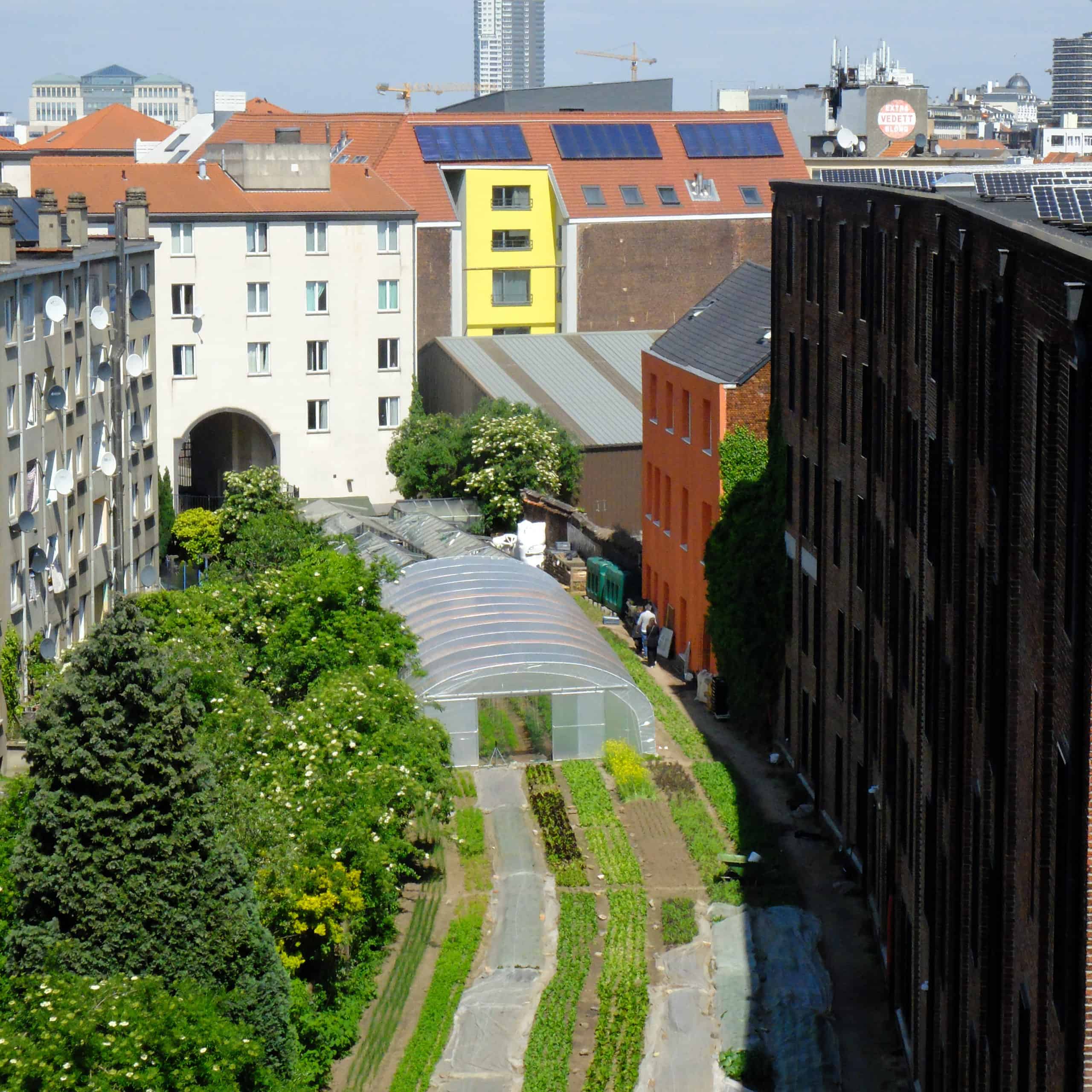 Atelier Groot Eiland/Bel Akker - FedeAU